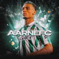 Aarnefc mods Аватар автора