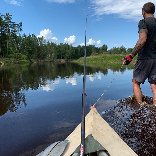 Мы про природу Аватар автора