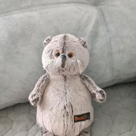Ильюшины басики #басик Аватар автора