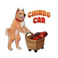 CHINDOCAR Аватар автора