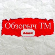Обзорыч ТМ Аватар автора