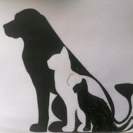 Арина И Ярослав Аватар автора