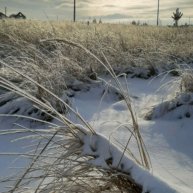 Альберт Ильдарович. Аватар автора