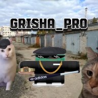 Grisha_Pro Аватар автора