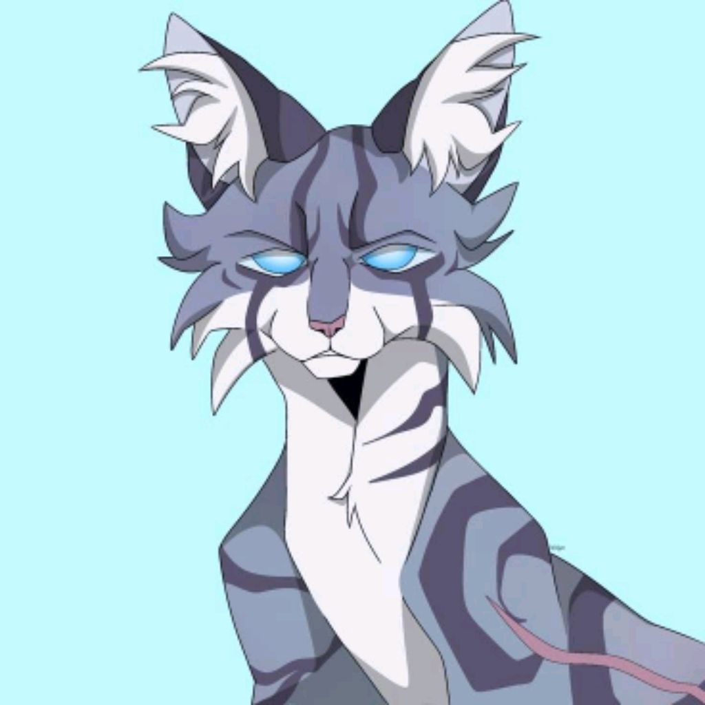 Jayfeather Аватар автора