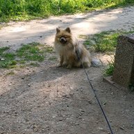 Stalker Аватар автора