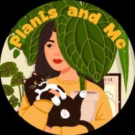 Plants and me Аватар автора