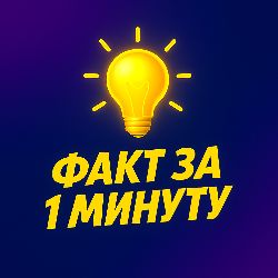 Факт за 1 минуту Аватар автора