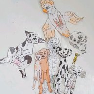 Best.Dog. Аватар автора