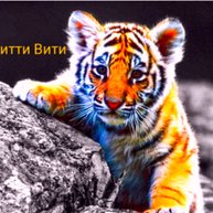 Кити Вити Аватар автора