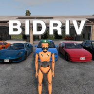 Bidriv Аватар автора