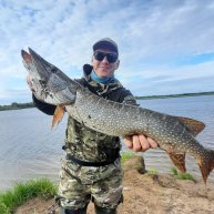 GlobalFish86 Аватар автора