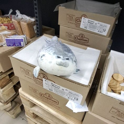 Аватар автора