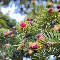 🌿Сахалин в объективе Аватар автора