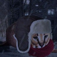 Шлёпа Аватар автора