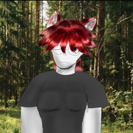 🦊kрасный лиs🦊 Аватар автора