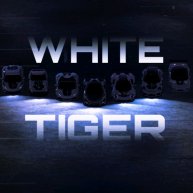 _W.T_ANGEL_ Аватар автора