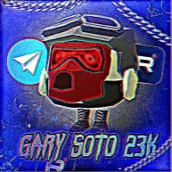 Gary Soto 23k Аватар автора