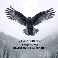 Надежда Аватар автора