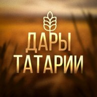ДАРЫ ТАТАРИИ Аватар автора