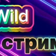 Wild_Стрим.official Аватар автора