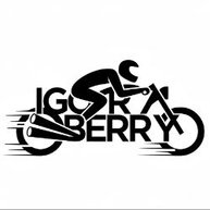IGOR BERRY Аватар автора
