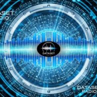 DATASET RADIO Аватар автора