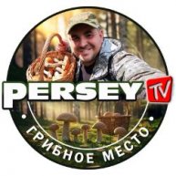 Грибное место - PerSey TV Аватар автора