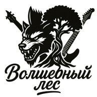 Волшебный лес Rock Music(Денис Зуев) Аватар автора
