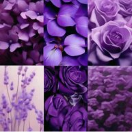 КИСИИИИИИИК 💗💖 (УШЛА...) Аватар автора