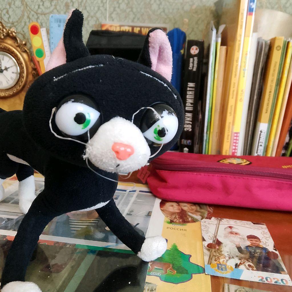 Кошка Котунья Аватар автора