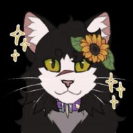 Чёрнохвост🍂🍁🌻 Аватар автора