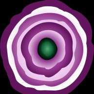 Флористическая студия Ranunculus Аватар автора