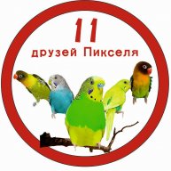 11 друзей Пикселя Аватар автора