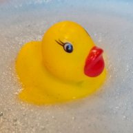 Duck_PaLaNa Аватар автора