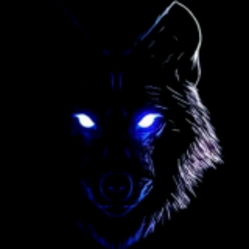 BLACK WOLF Аватар автора