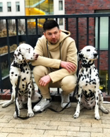 igerc Аватар автора