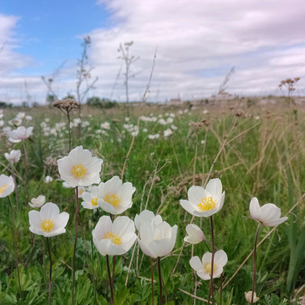 Иринка Аватар автора