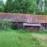 АМБАР Аватар автора