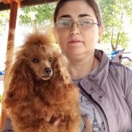 Правдивая Наталья Аватар автора