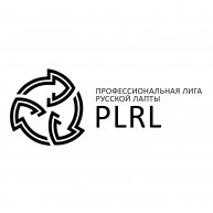 Профессиональная лига русской лапты PLRL Аватар автора