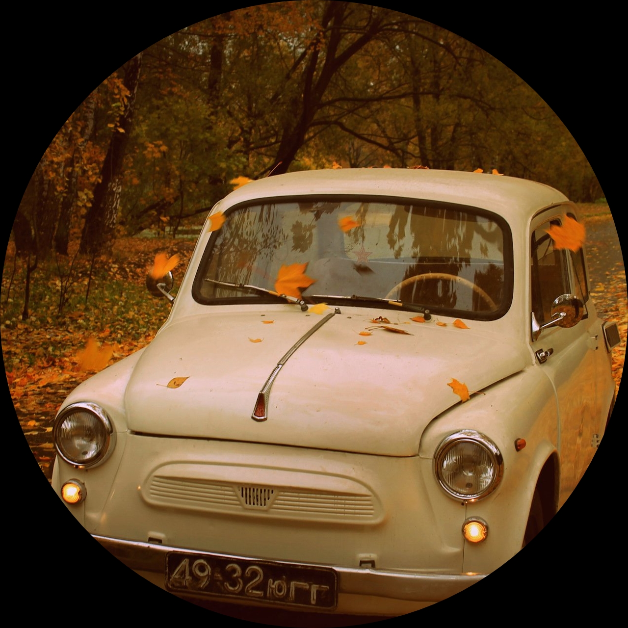 Аватар автора