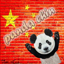 panda chin