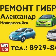 ремонт гибридов Александр Новороссийск Аватар автора
