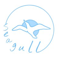 ✨️Seagull team✨️ Аватар автора