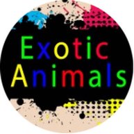 Exotic Animals Аватар автора