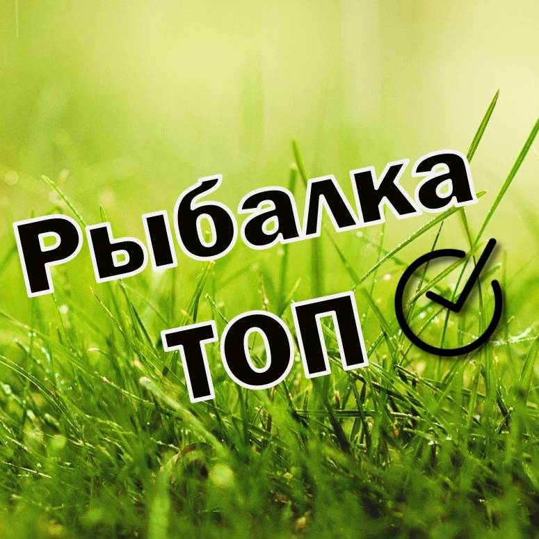 Рыбалка ТОП