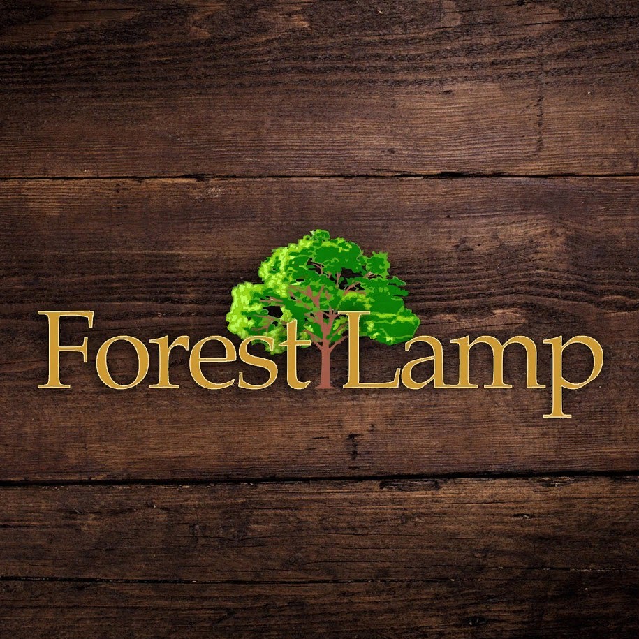 Самоделки Forestlamp Аватар автора