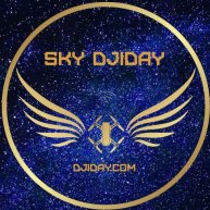 DJIDAY ACADEMY  (powered by DJIDAY.RU) Аватар автора