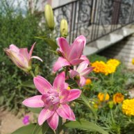 Хочу на дачу. Марий Эл Аватар автора
